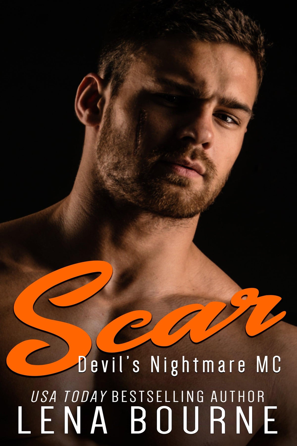 Scar (Devil's Nightmare MC, Book 4) by Lena Bourne || Waterside Dreams ...